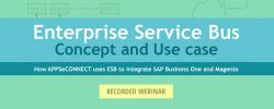 Enterprise Service Bus - Concept and Use Case | APPSeCONNECT