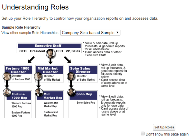Understanding Roles in Salesforce | APPSeCONNECT