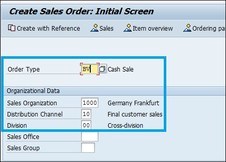 Configuring Cash Sales within SAP ERP - Everything You Need To Know!