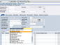 Configuring Sales Order Reasons within SAP