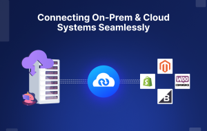 Cloud-Based Integration: A Complete Guide | APPSeCONNECT