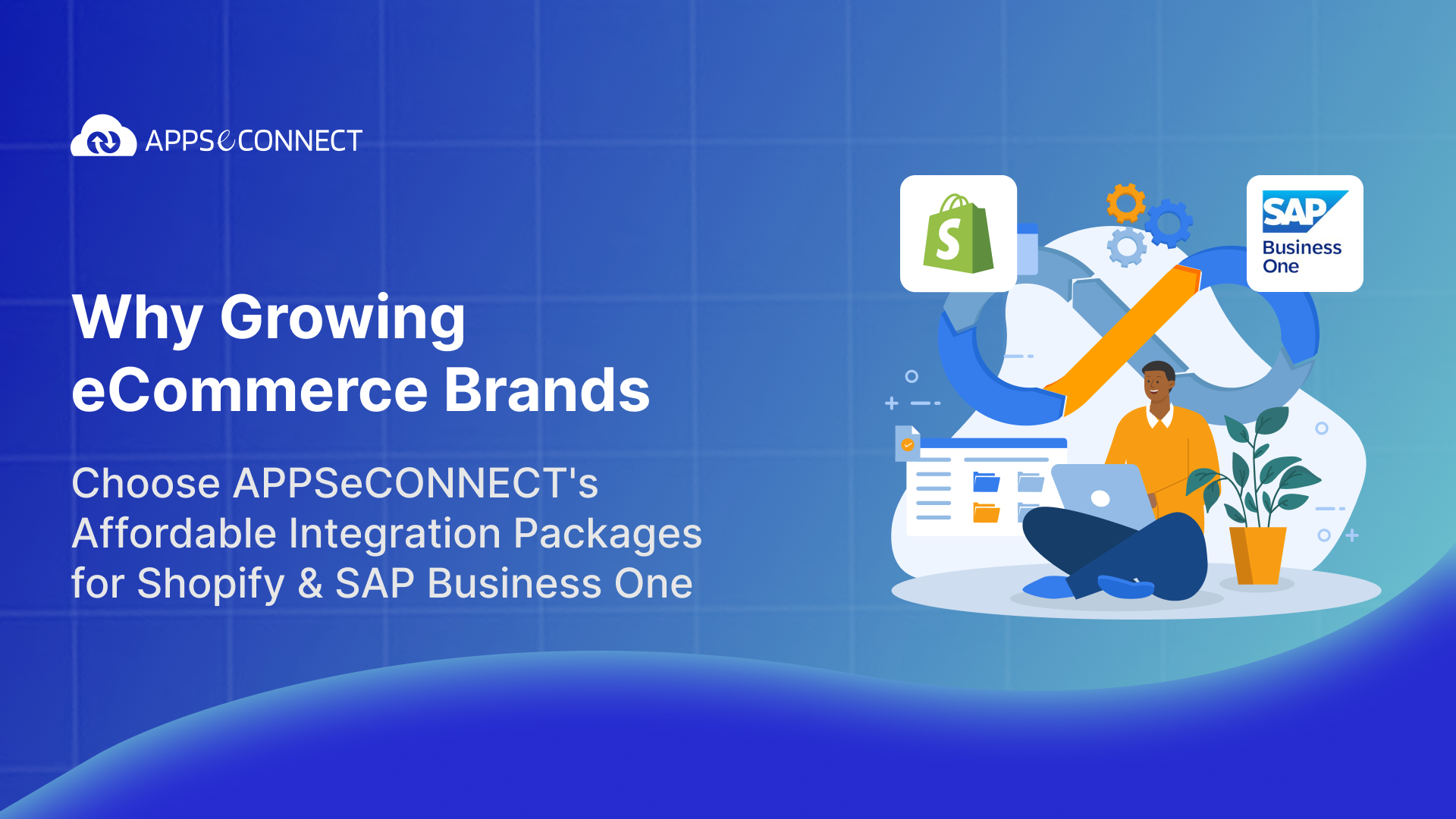 Shopify SAP Integration: Affordable Solution at $99/Month